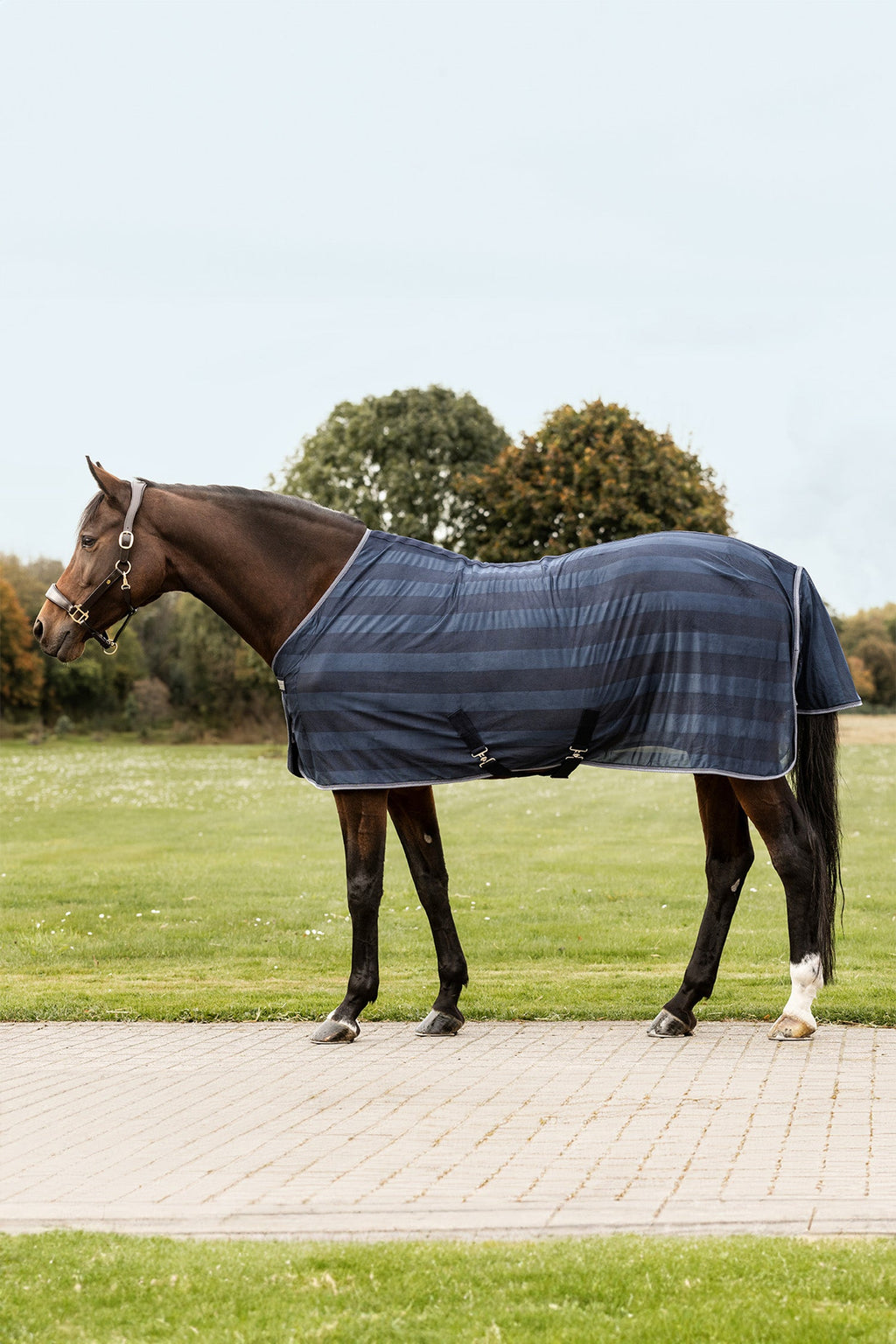 Economic Fly Sheet Navy – Swedish Equestrian