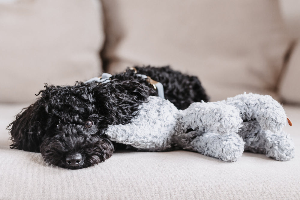 R.E.A.L. Mid Rise Stretch Jeans Raka Ben Ocean – Swedish Equestrian